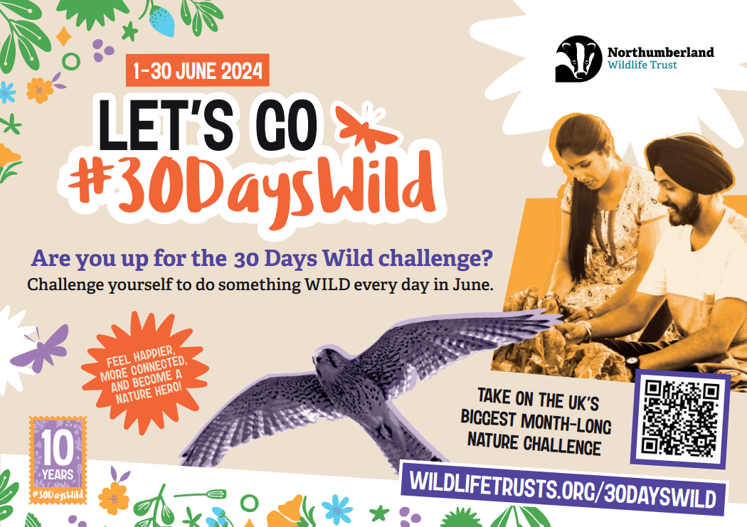 Go wild this June! – NEChamber Network